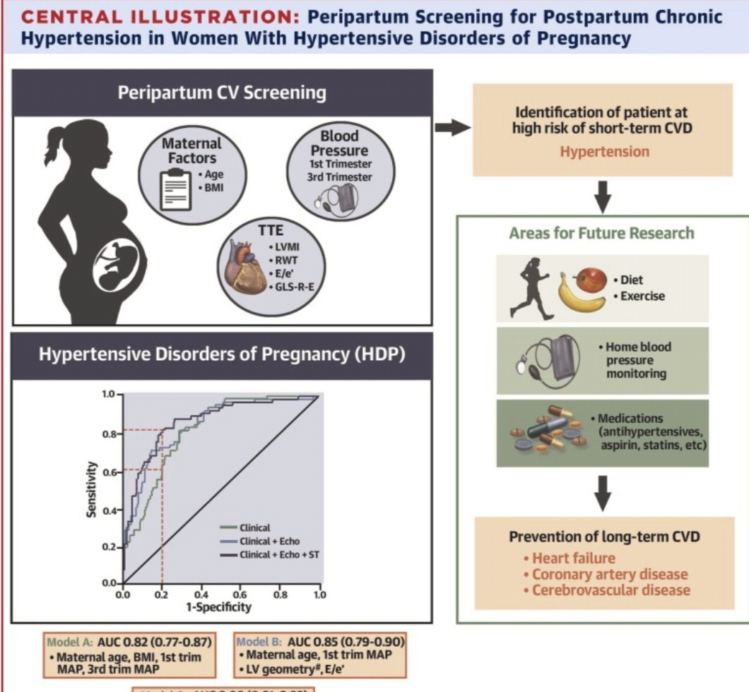 Hypertension Postpartum