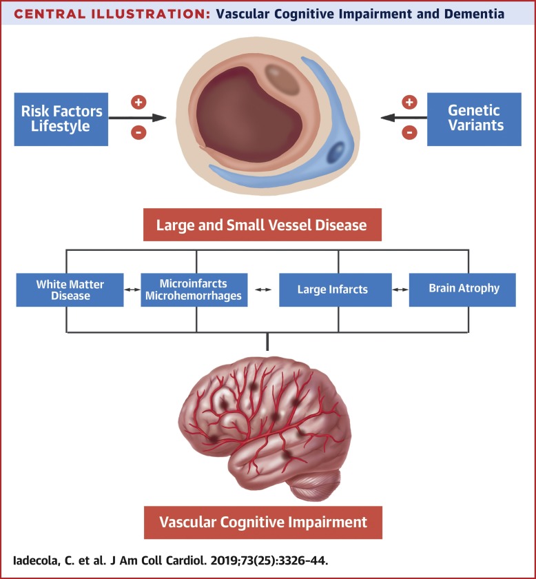 Dementia .Cognition .Mild cognitive impairment
